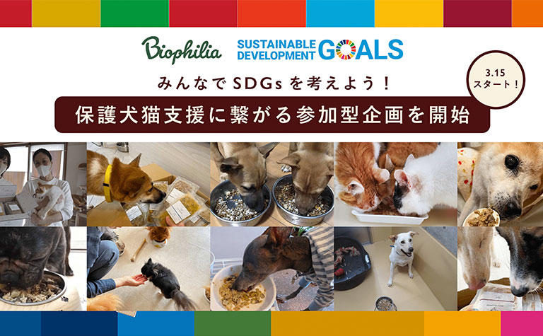 能登半島地震で被災した犬猫の支援に繋がる参加型寄付企画をスタート | SDGs fan