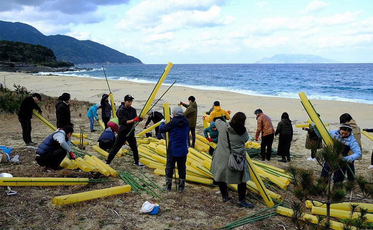 絶滅危惧種のウミガメを守る植樹活動ーサンカラ基金活用のご報告 | SDGs fan