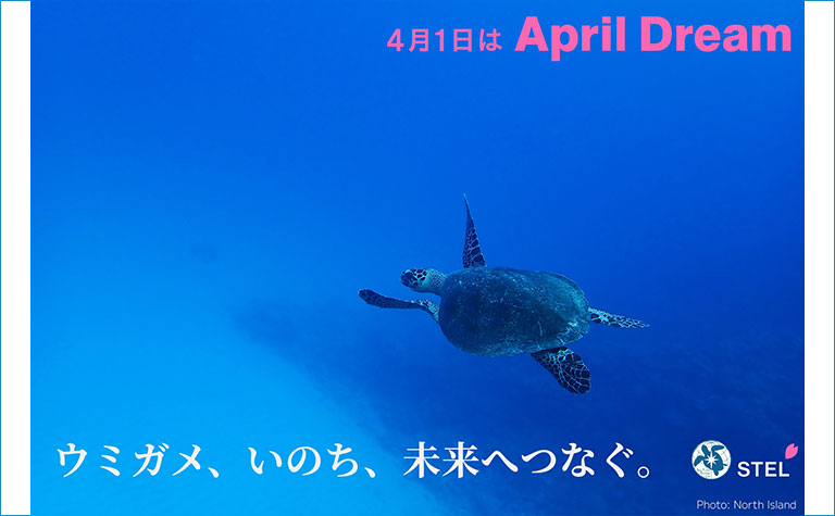 ウミガメ、いのち、未来へつなぐ。 | SDGs fan