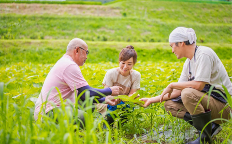 農業×福祉の連携で、障がい者の「働く喜び」と「賃金向上」を支援 ダチファクトリーが商品開発の事業サポートを開始 | SDGs fan